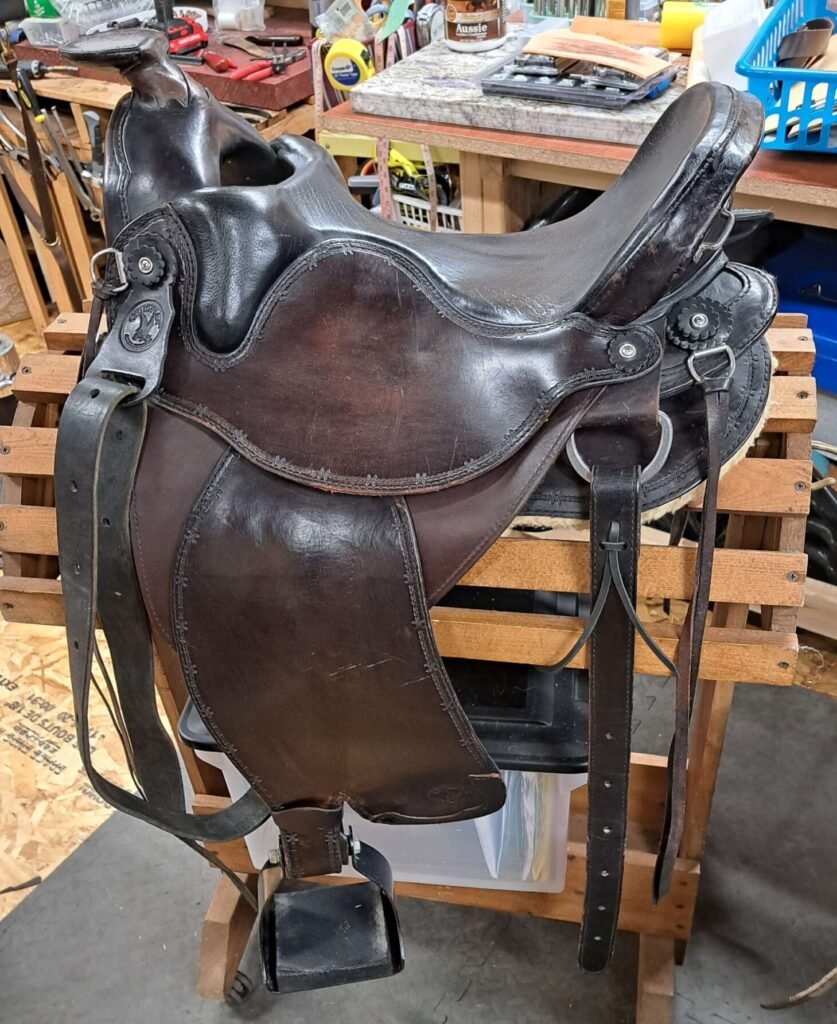 System II - The Next Mounting System - One Saddle-Many Horses-Comfort ...