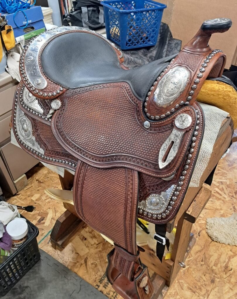 Saddler's Bloom or Mold? - One Saddle-Many Horses-Comfort for Both