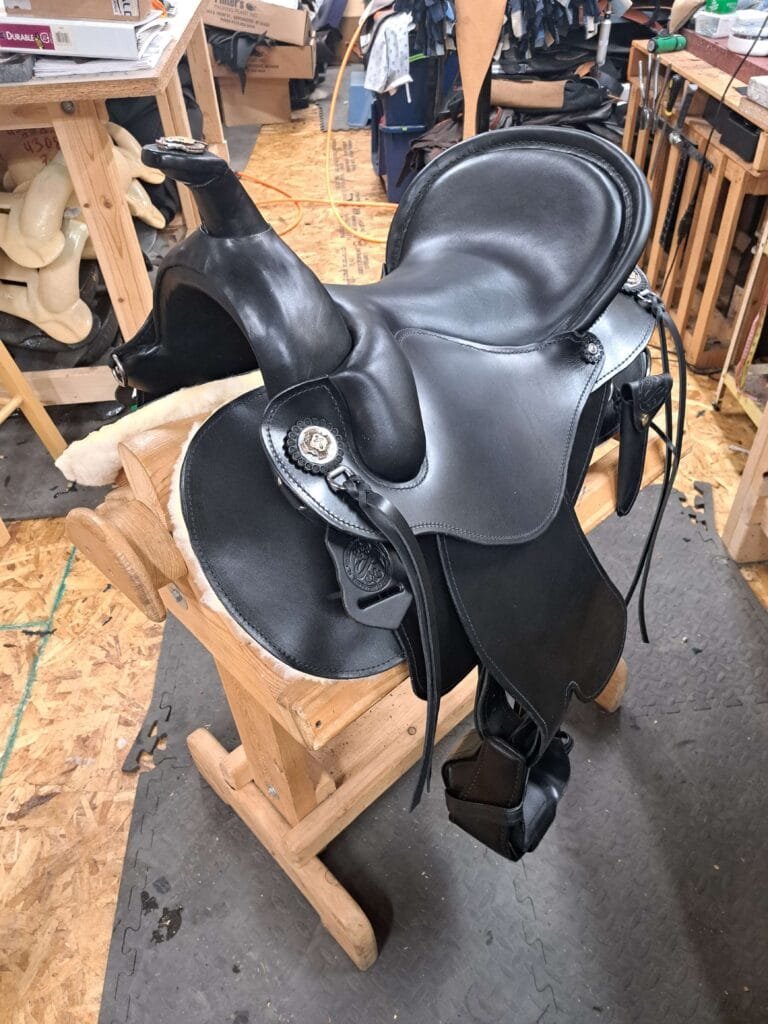 Saddle Models & Styles - Evolutionary Saddles