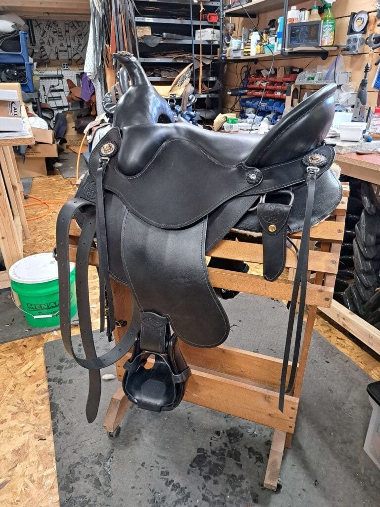 Saddle Models & Styles - Evolutionary Saddles